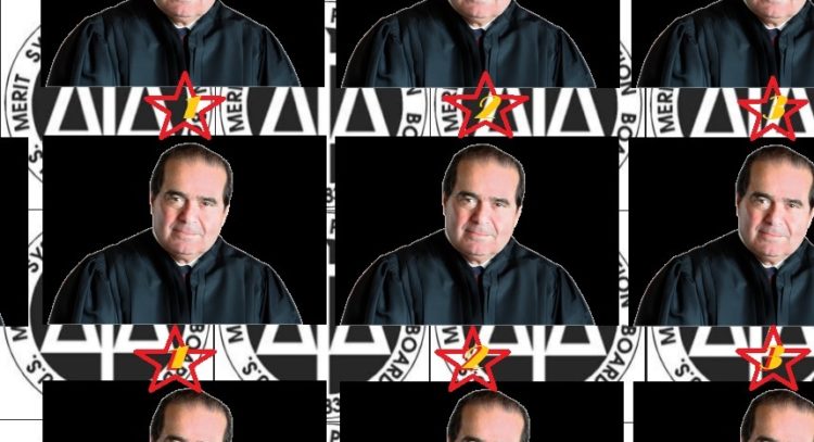 Merit Systems Protection Board MSPB - Civil Rights Federal